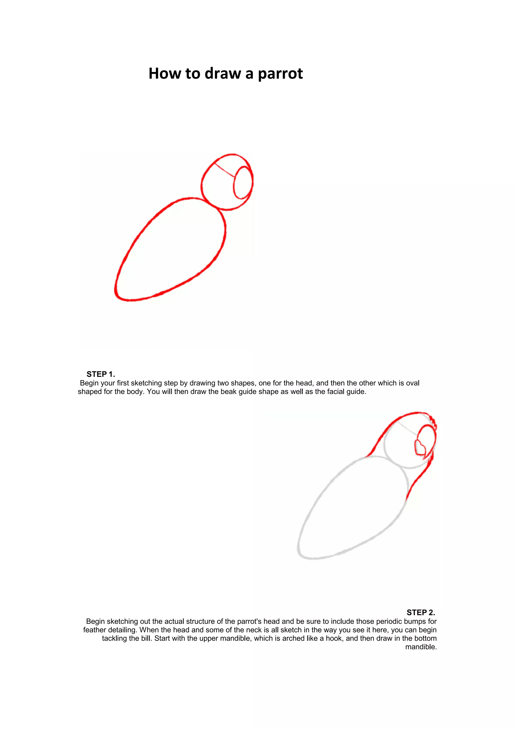 How to draw a parrot | PDF | Drawing and Sketching | Arts and Crafts