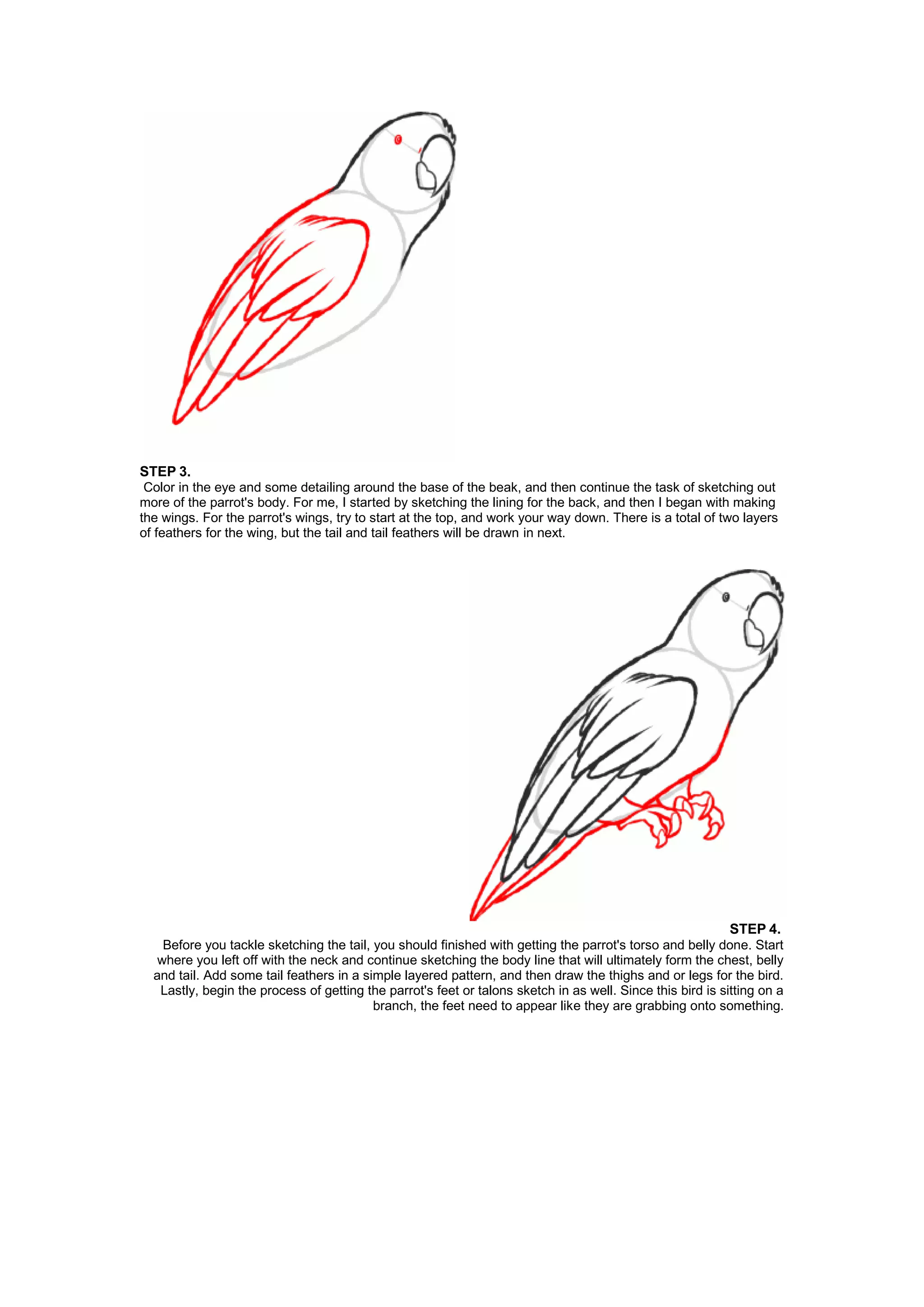 How to draw a parrot | PDF | Drawing and Sketching | Arts and Crafts