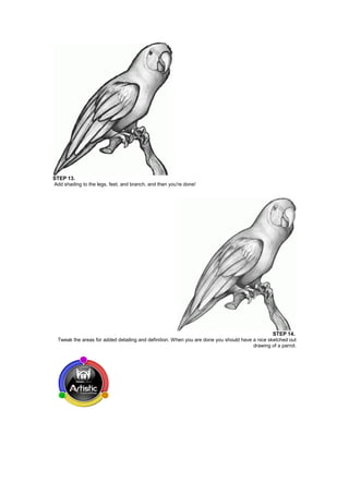 How to draw a parrot | PDF | Drawing and Sketching | Arts and Crafts