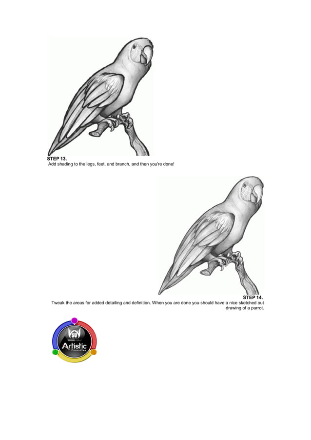 How to draw a parrot | PDF | Drawing and Sketching | Arts and Crafts