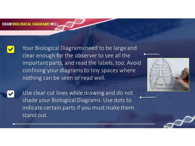 How to Draw Biological Diagrams Well | PPT