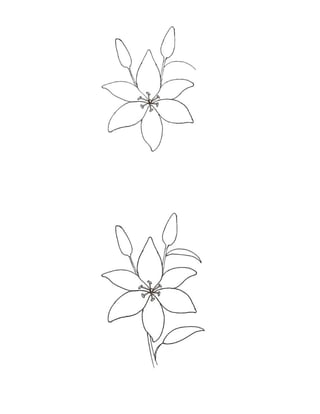 How To Draw Flowers, Trees And Leaves In Simple Steps: The Step By Step ...