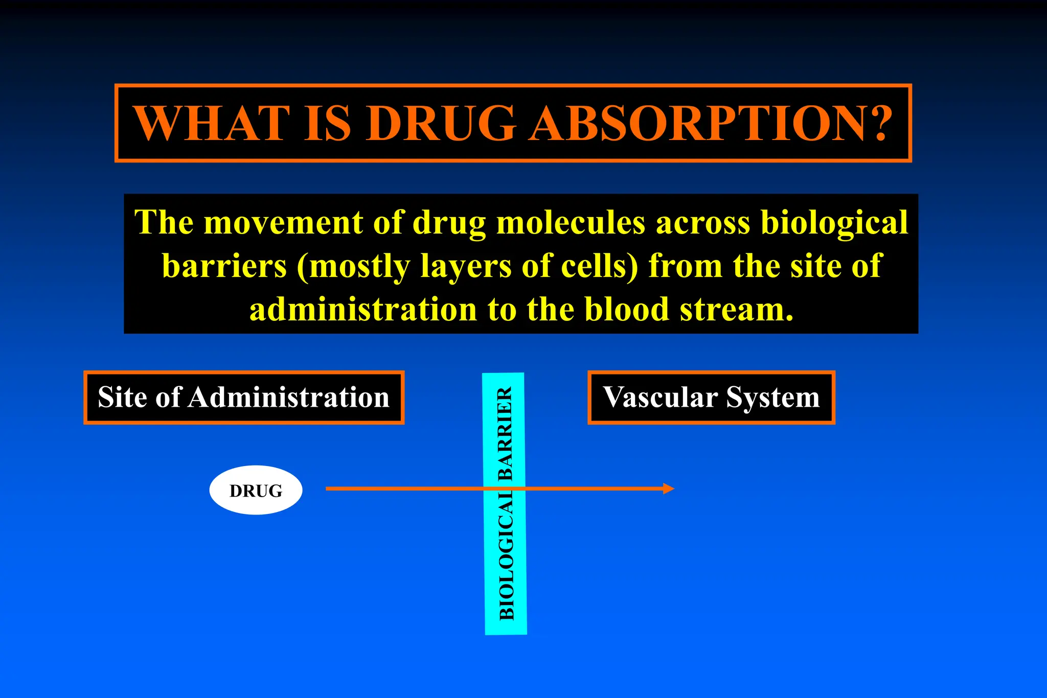 how to drugs get into the body presentation.ppt | Free Download