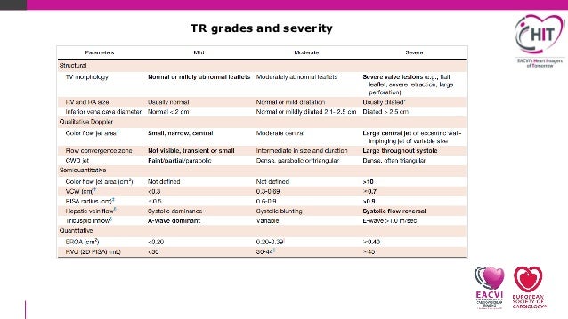 How to echo... tricuspid regurgitation.ppt