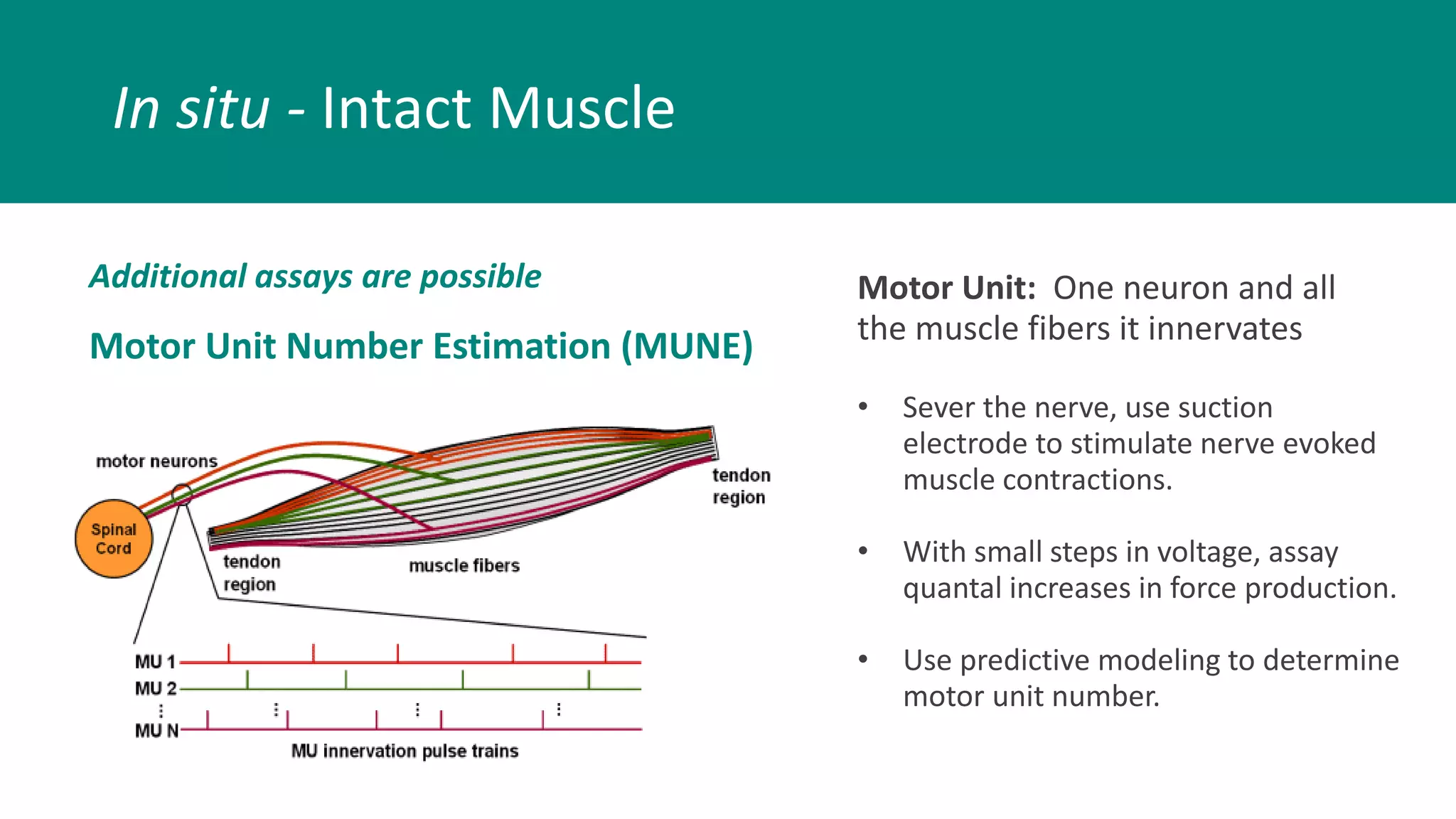 Three Techniques, One System: How to Effectively Characterize Complete ...