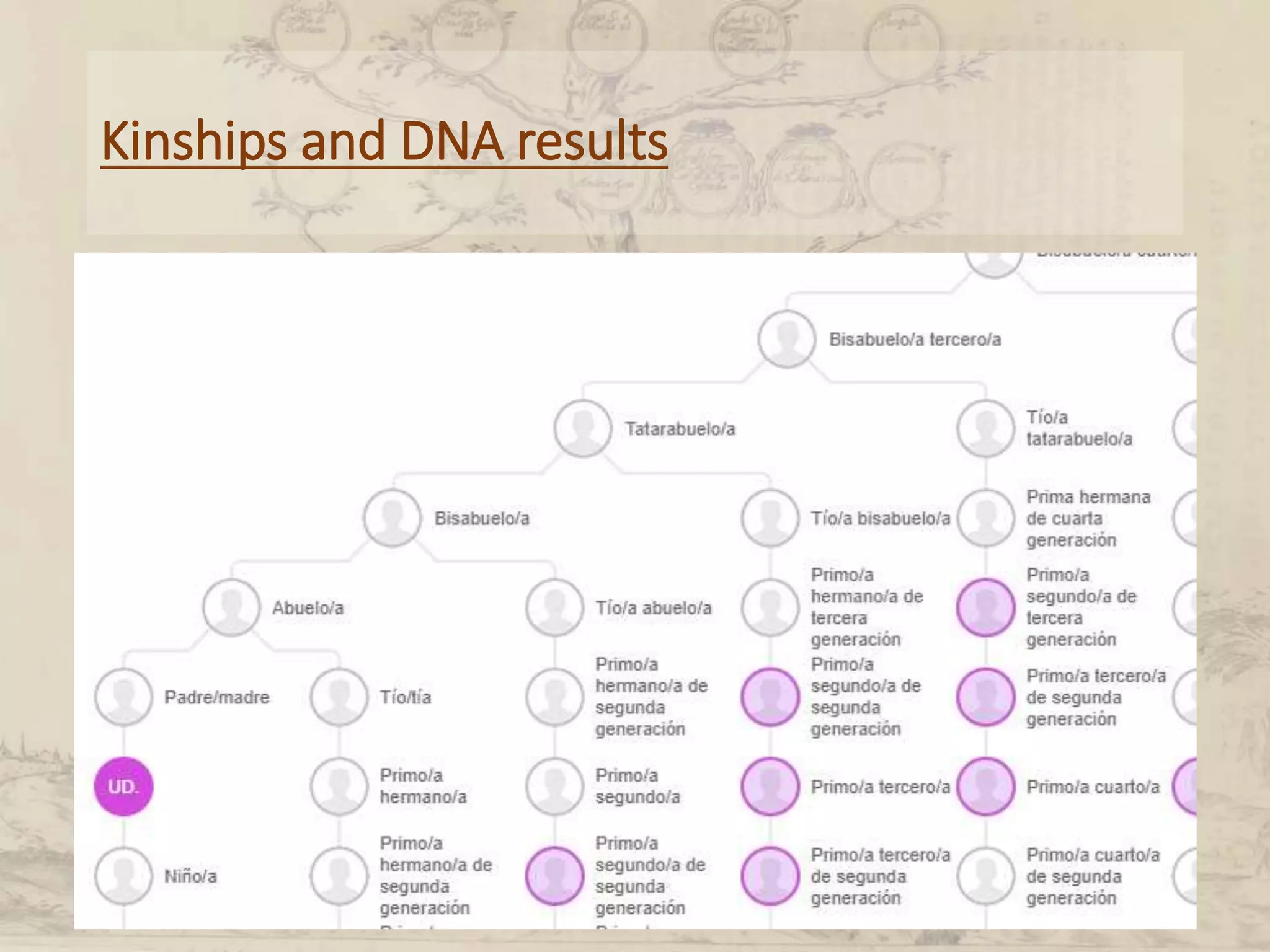 How to explain degrees of family relationships | PDF