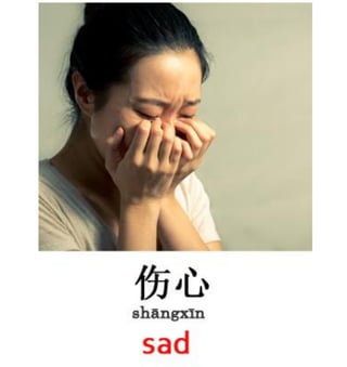 How to express emotions in Chinese | PDF
