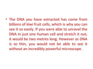 DNA Extraction | PPT