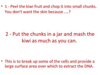 DNA Extraction | PPT