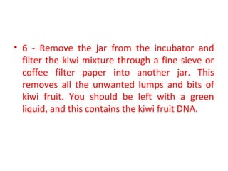 DNA Extraction | PPT