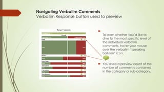Comment Explorer Flag Analysis Features | PPT