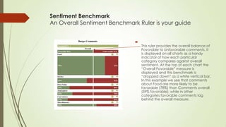 Comment Explorer Flag Analysis Features | PPT