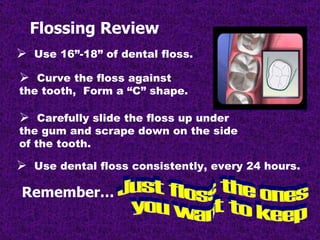 How to Use Dental Floss | PPT