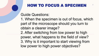 How to focus a specimen using a microscope | PPTX