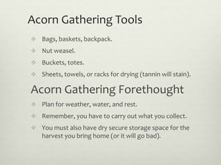 HowToGatherGoodAcornsAtDAcres.pptx