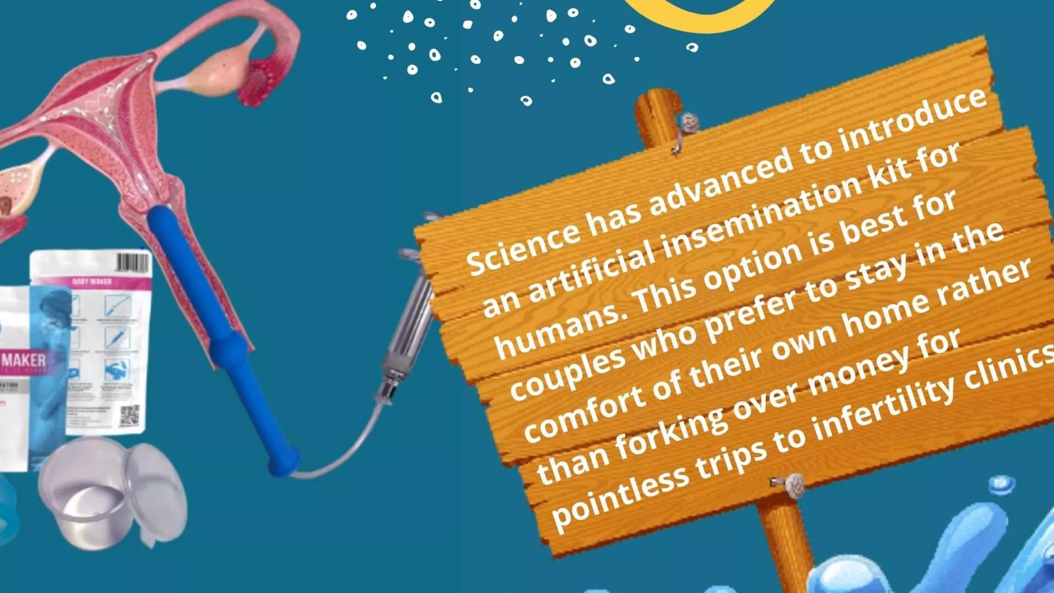 How to get pregnant using Turkey Baster Method | PPTX