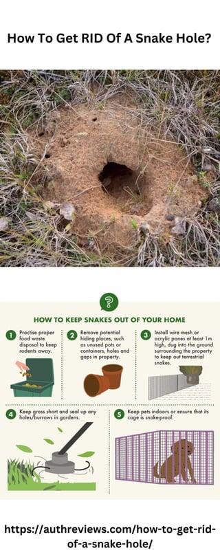 How To Get RID Of A Snake Hole.pdf