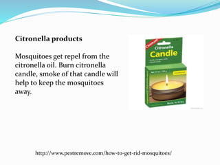 How to get rid of mosquitoes | PPTX