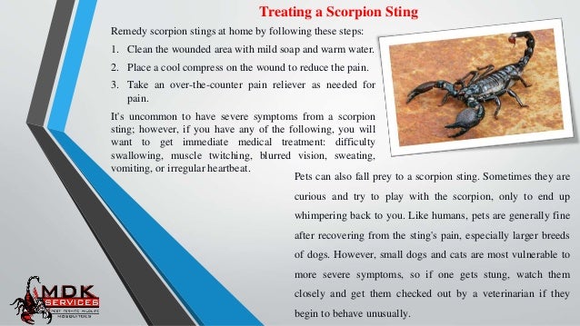 How to get rid of scorpions in your home | PPTX