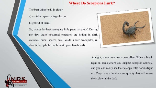 How to get rid of scorpions in your home | PPTX