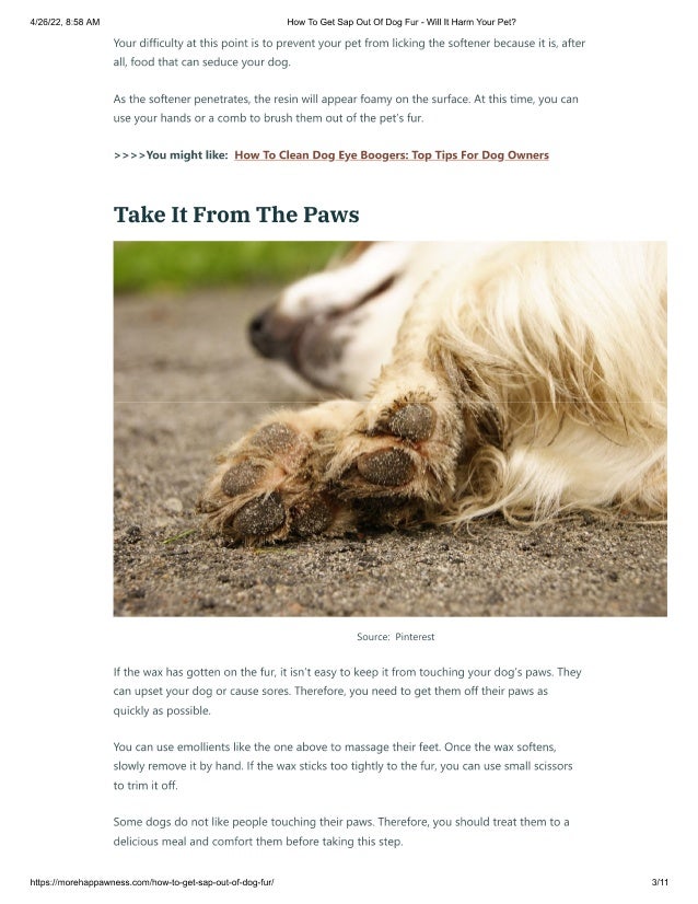 How To Get Sap Out Of Dog Fur - Will It Harm Your Pet_.pdf | Dogs | Pets