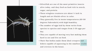 How to get Silverfish Control | Impressive Pest Control | PDF ...