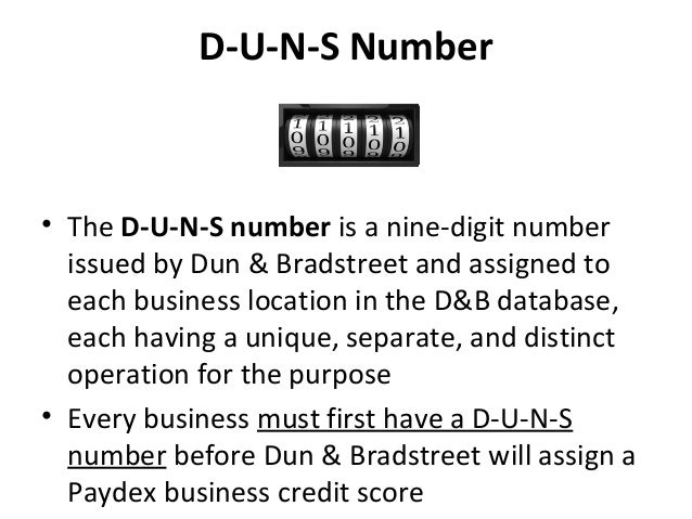 How to Get Your DUNS Number with Dun _ Bradstreet for Free and Establ…
