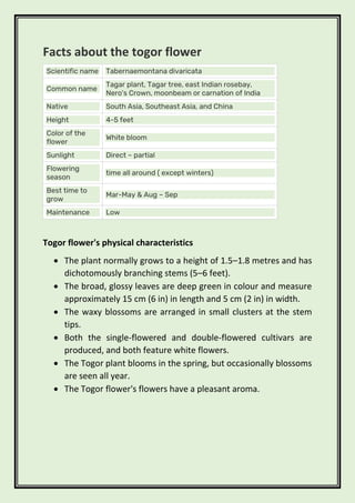 How Togor flowers enhance the beauty of your yard.pdf