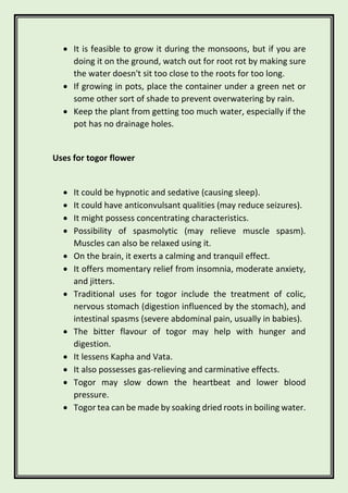 How Togor flowers enhance the beauty of your yard.pdf