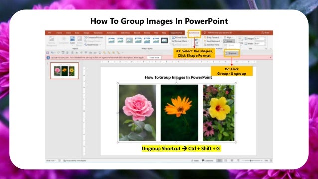 How To Group Images In PowerPoint.pptx