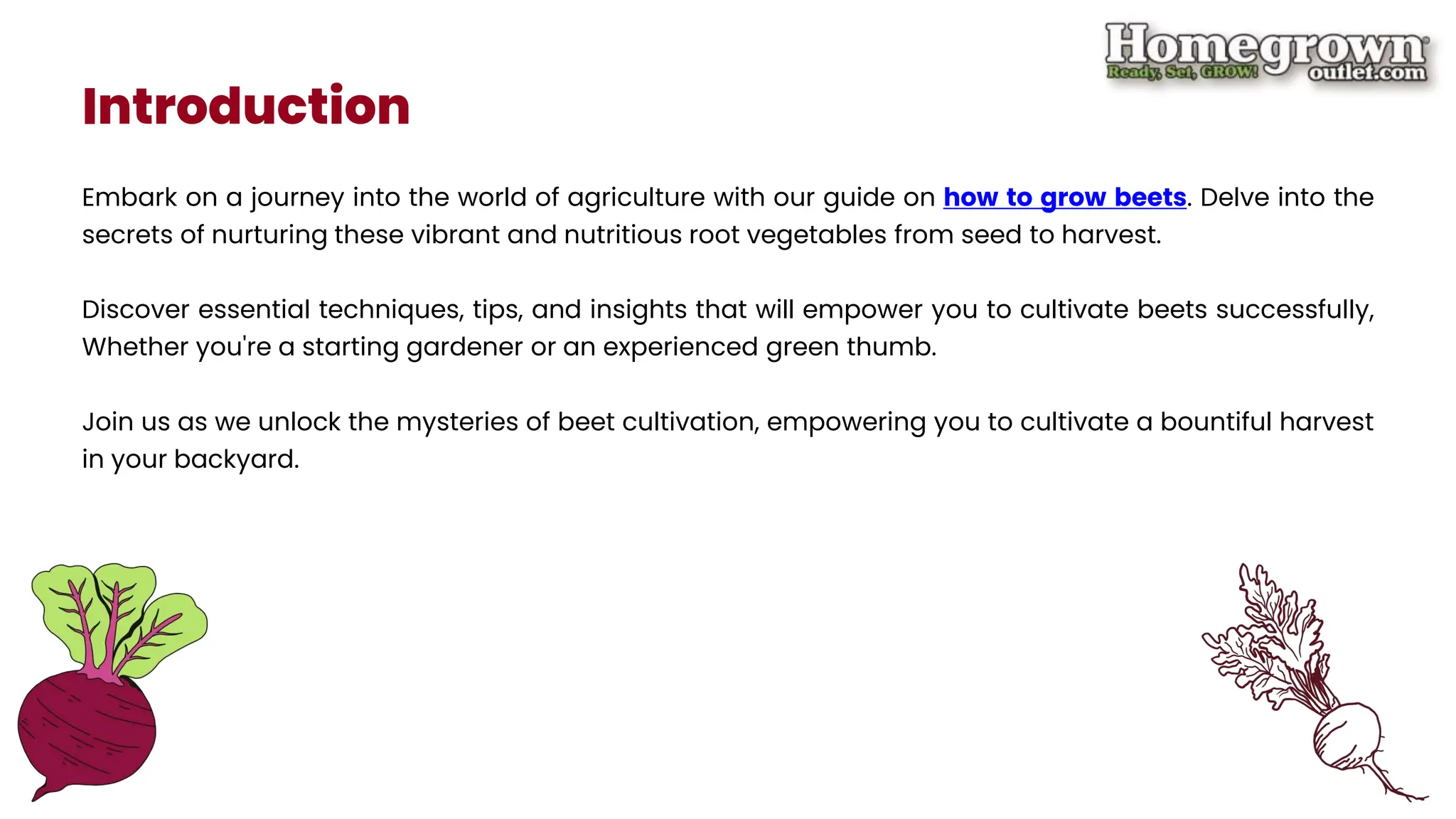 How to Grow BEET.pdf