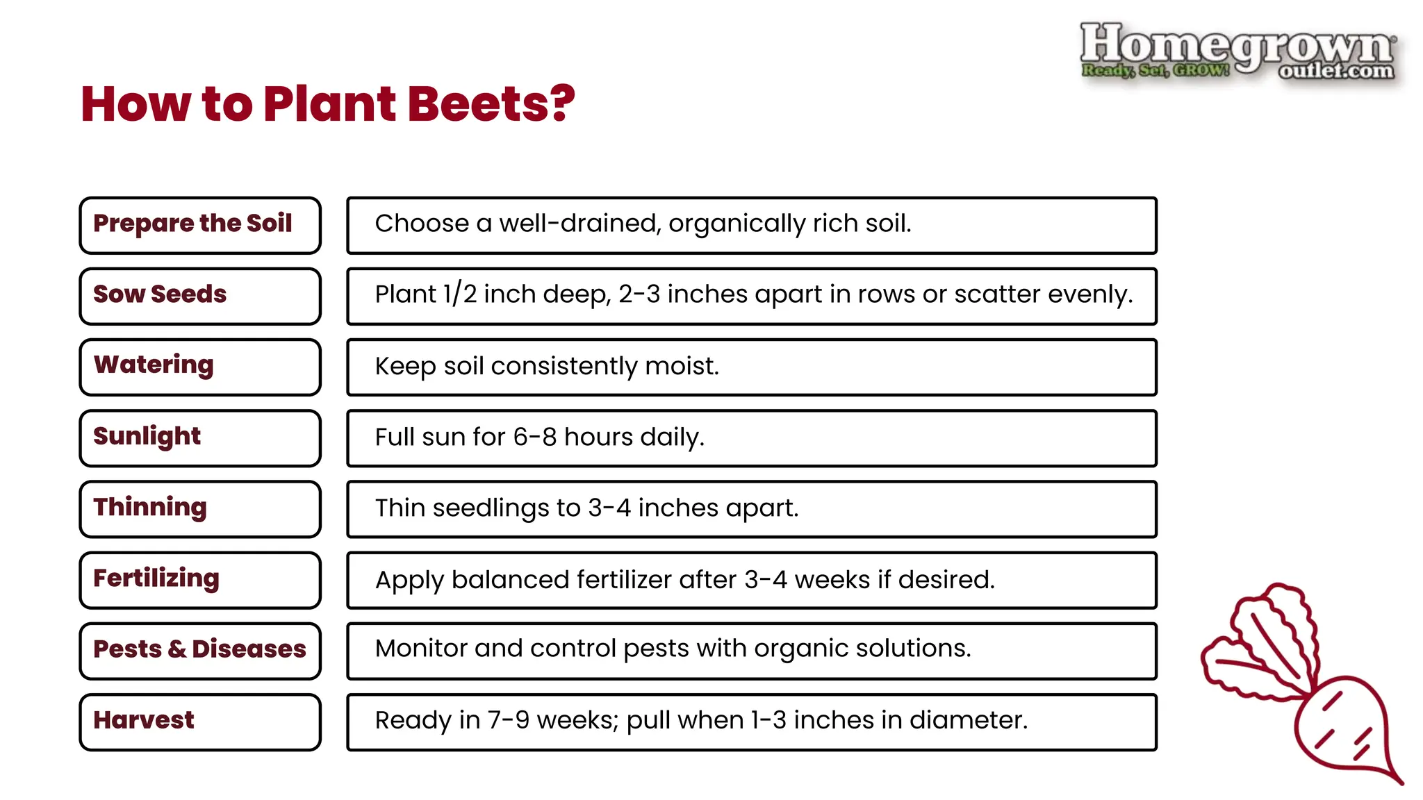 How to Grow BEET.pdf