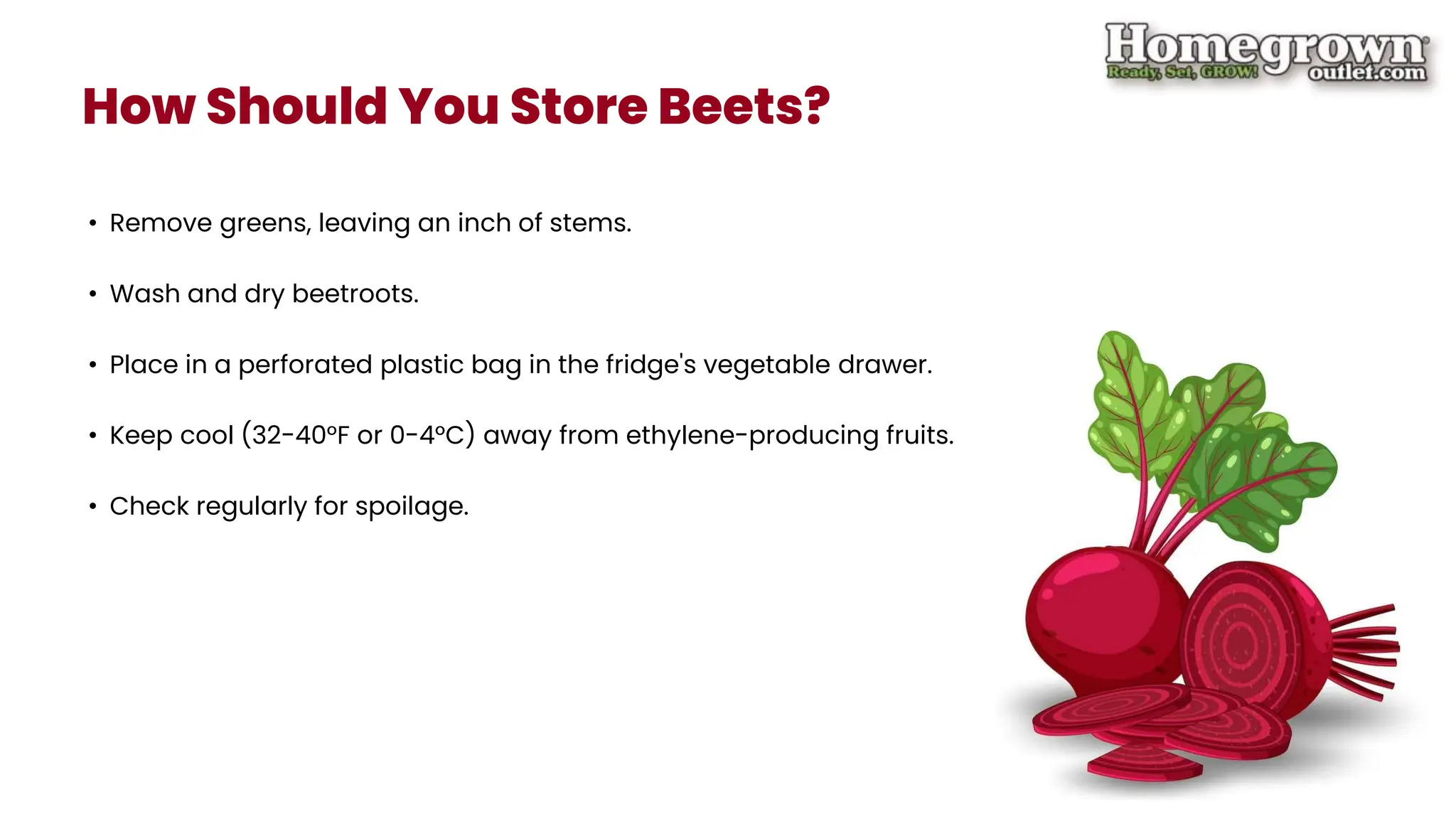 How to Grow BEET.pdf