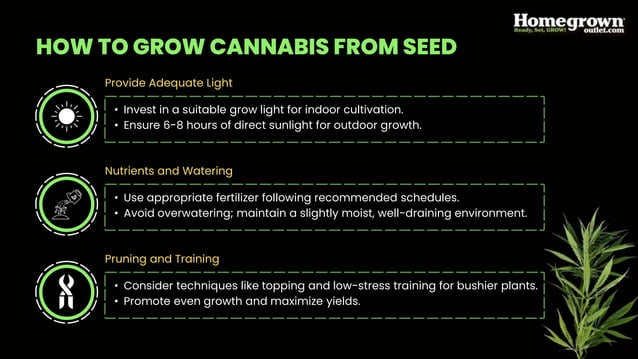 How to Grow Cannabis? | PPT