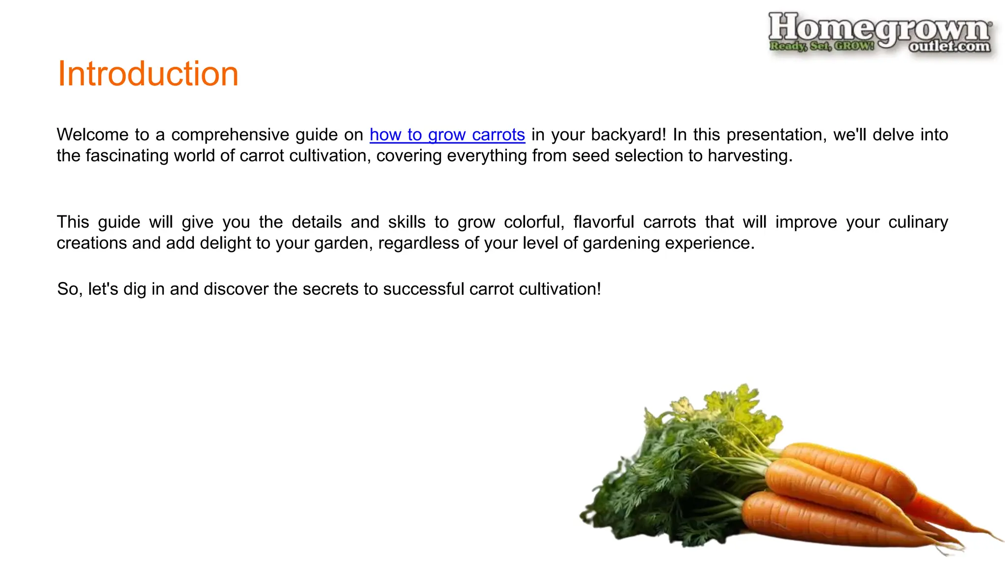 Carrots Growing Guide - How to Grow Carrots? | PPTX