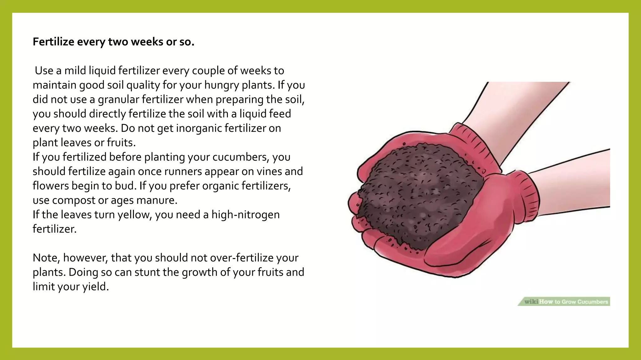 How to grow cucumber | PPTX