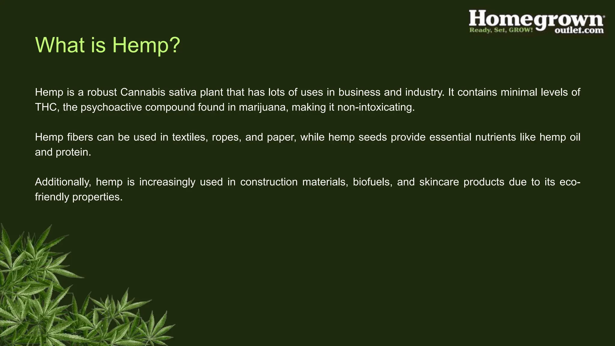 How to Grow Hemp? | PDF