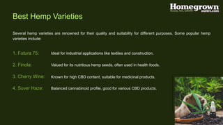 How to Grow Hemp? | PDF | Illegal Drugs, Tobacco, eCigarettes, Vaping ...