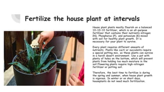 How to Grow Indoor Plants. | PPTX