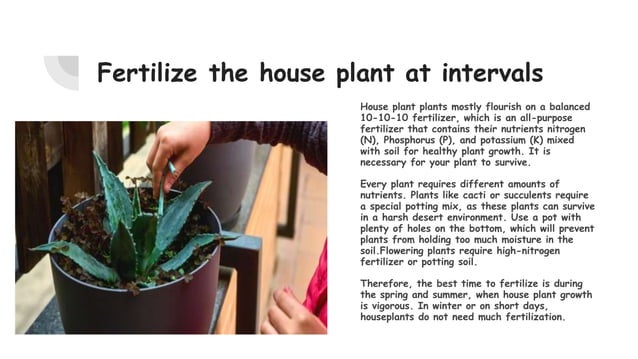 How to Grow Indoor Plants. | PPTX