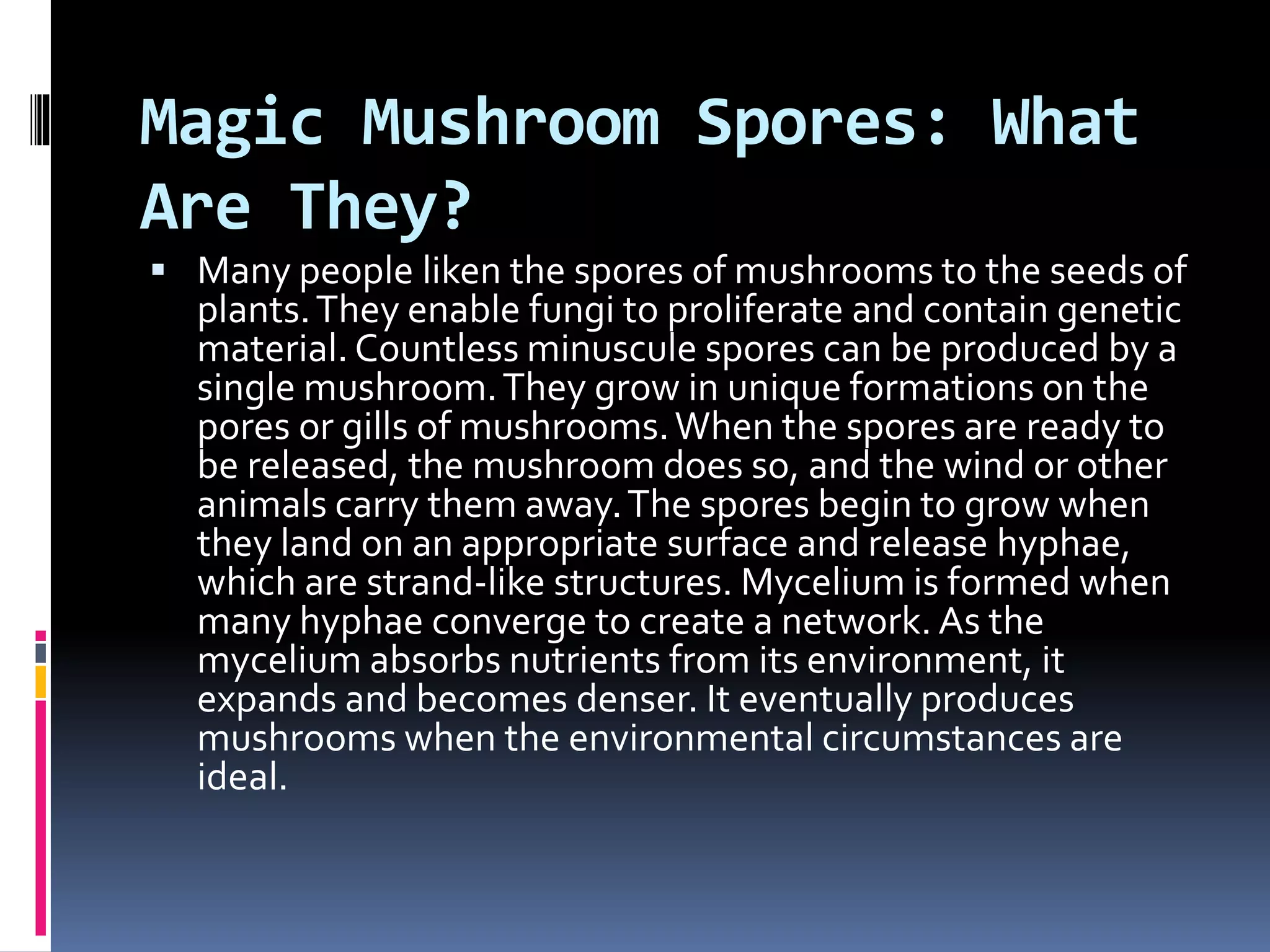 How to Grow Magic Mushroom Spores.pptx