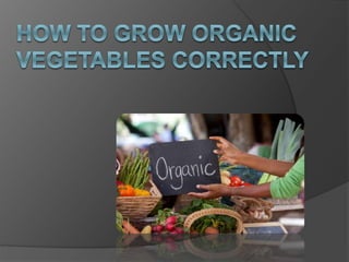 How to grow organic vegetables correctly | PPT