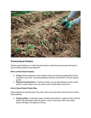 How to Grow Sweet Potatoes- A Comprehensive Guide.pdf