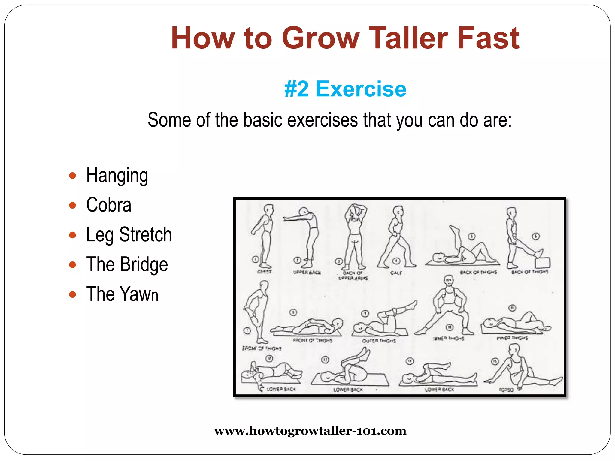 How to grow taller fast | PPT