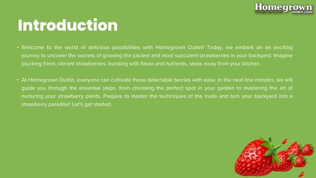 How to grow the best strawberries? | PPT