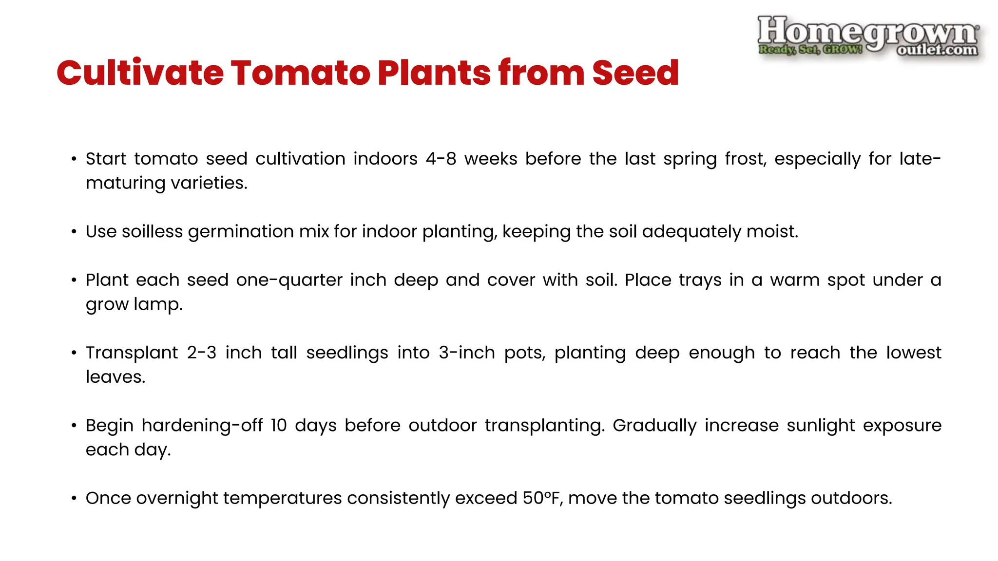 how to grow tomatoes from seeds? | PPTX