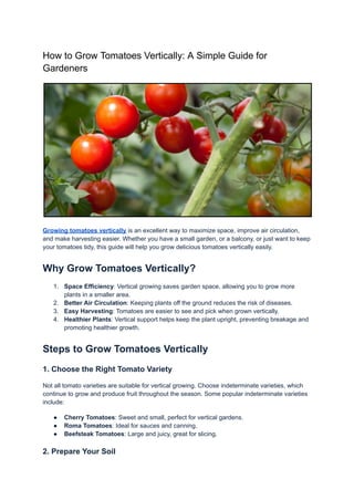 How to Grow Tomatoes Vertically: See The Ultimate Guide | PDF | Free ...