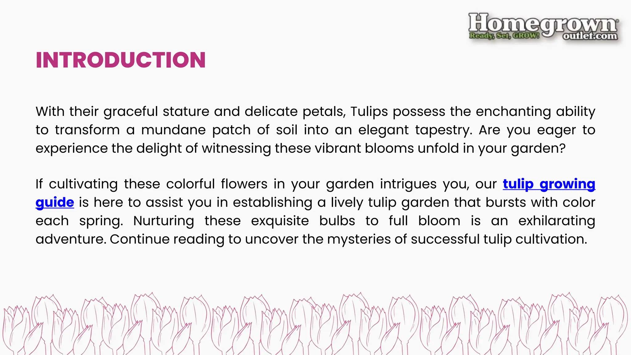 How to Grow Tulips? | PDF