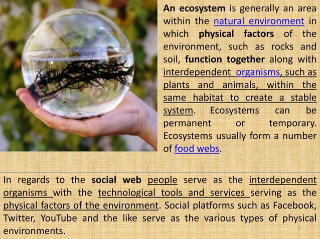 How to Grow your own Social Media Ecosystem