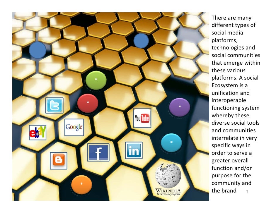 How to Grow your own Social Media Ecosystem